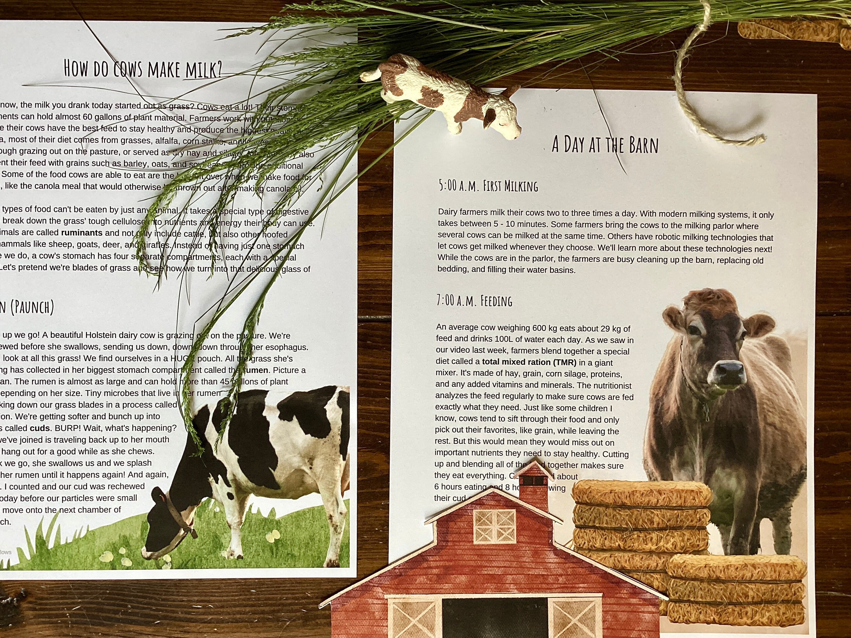 Dairy Farm Unit Study: Curious Trails Nature Curriculum (PDF Download ...