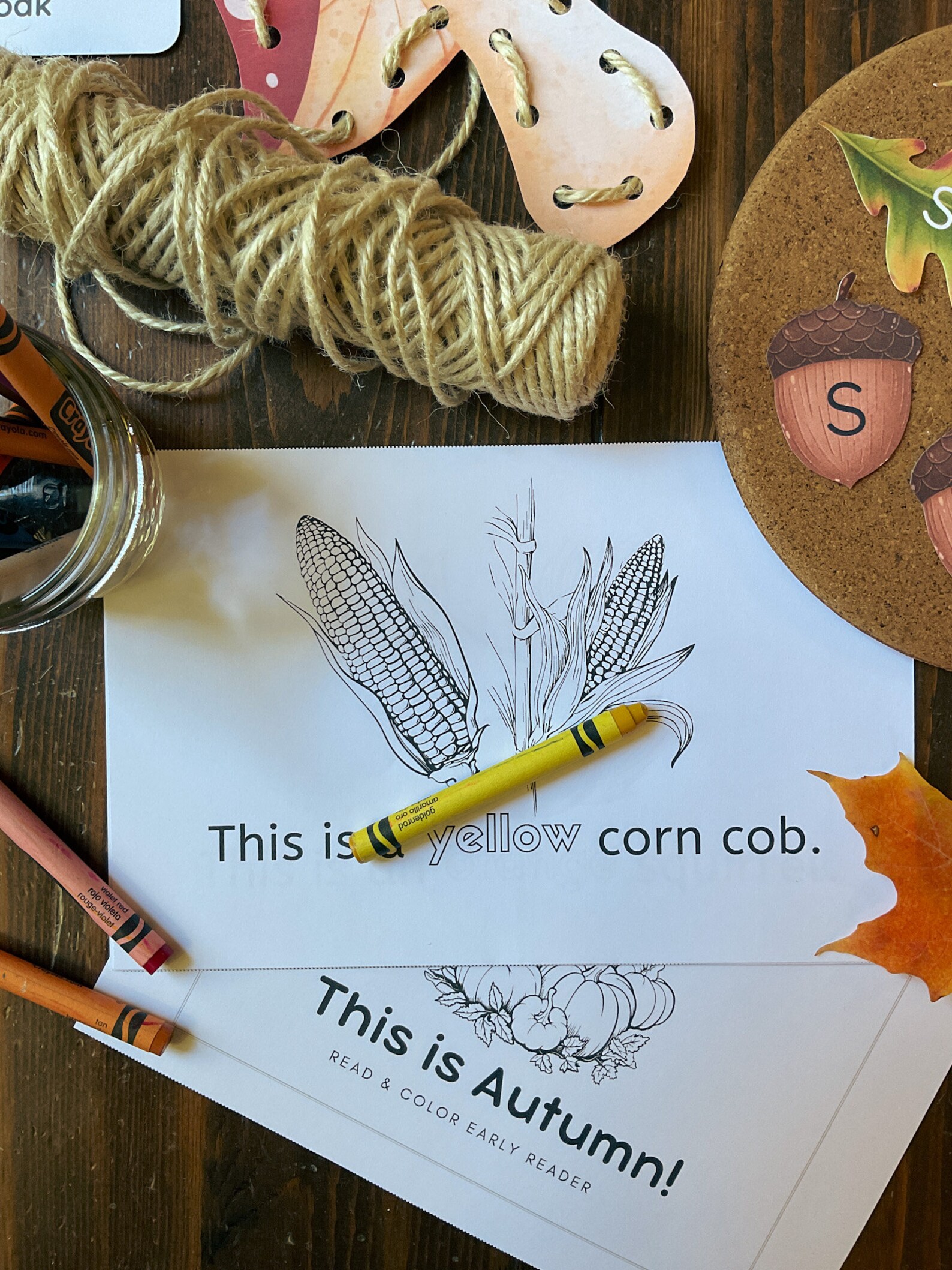 Autumn Early Learning Unit: Preschool & Kindergarten Activities (PDF ...
