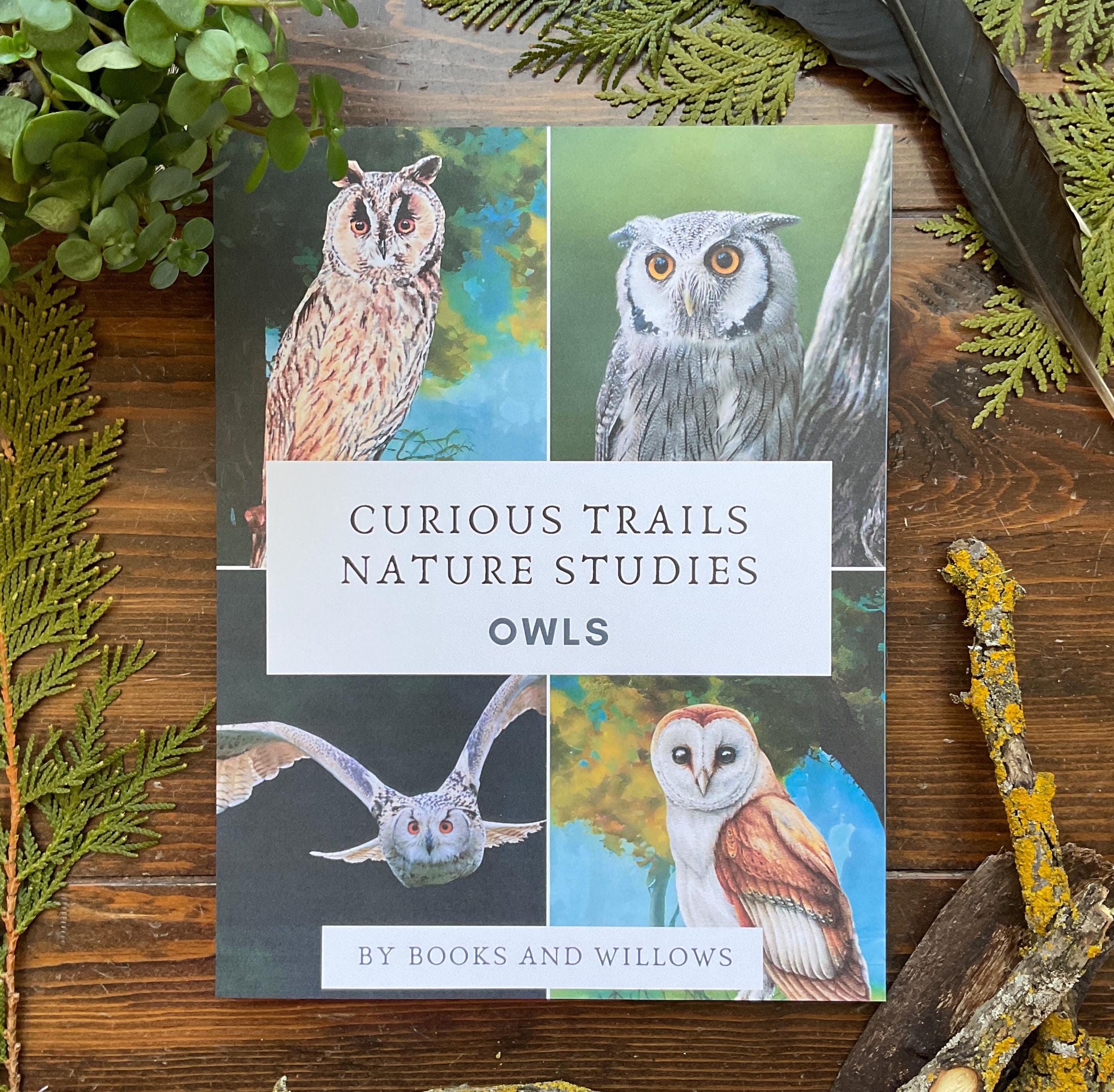 Owl Unit Study: Curious Trails Nature Curriculum (PDF Download) - Etsy