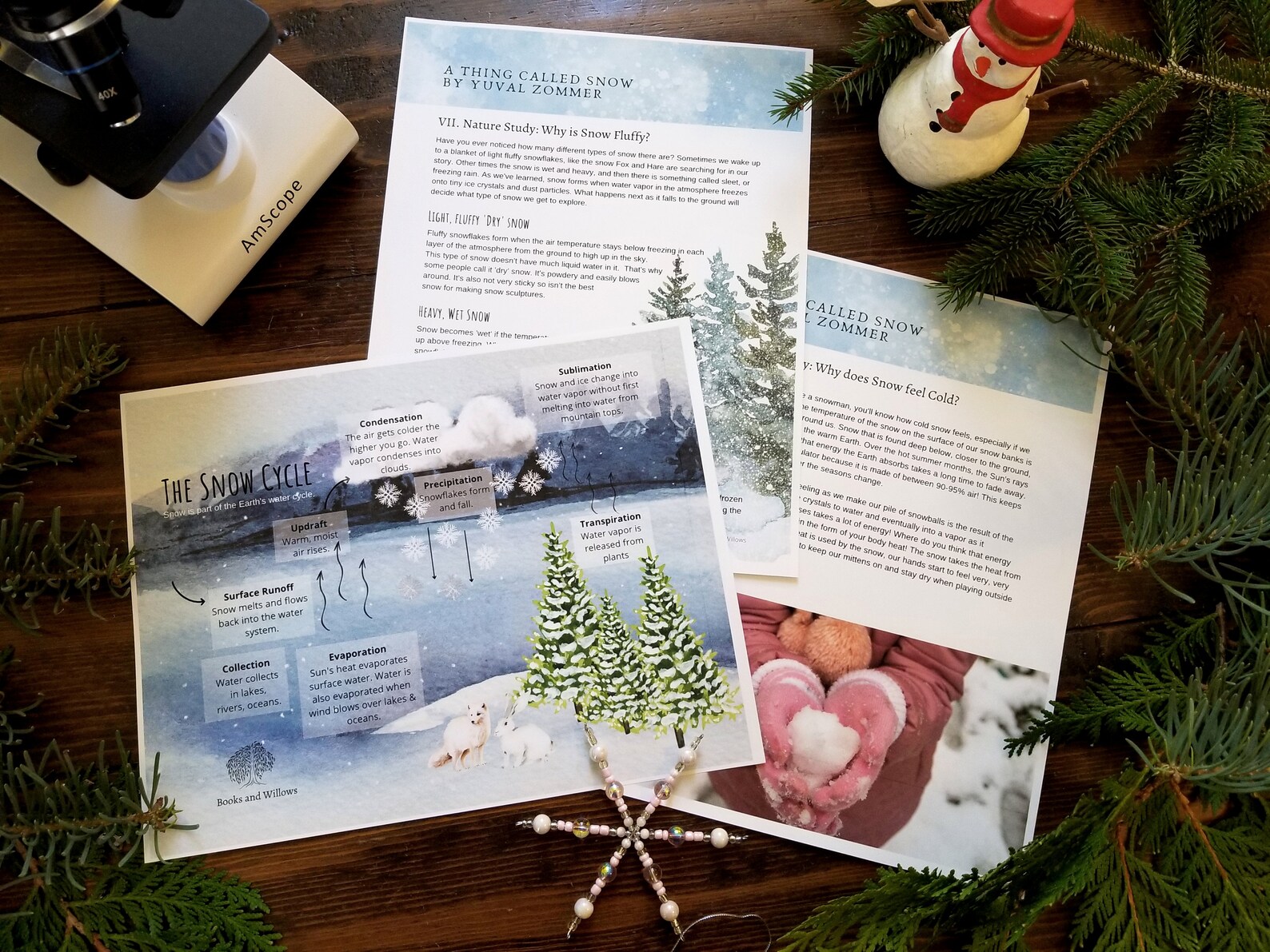 A Thing Called Snow Family Literature and Activity Guide - Etsy