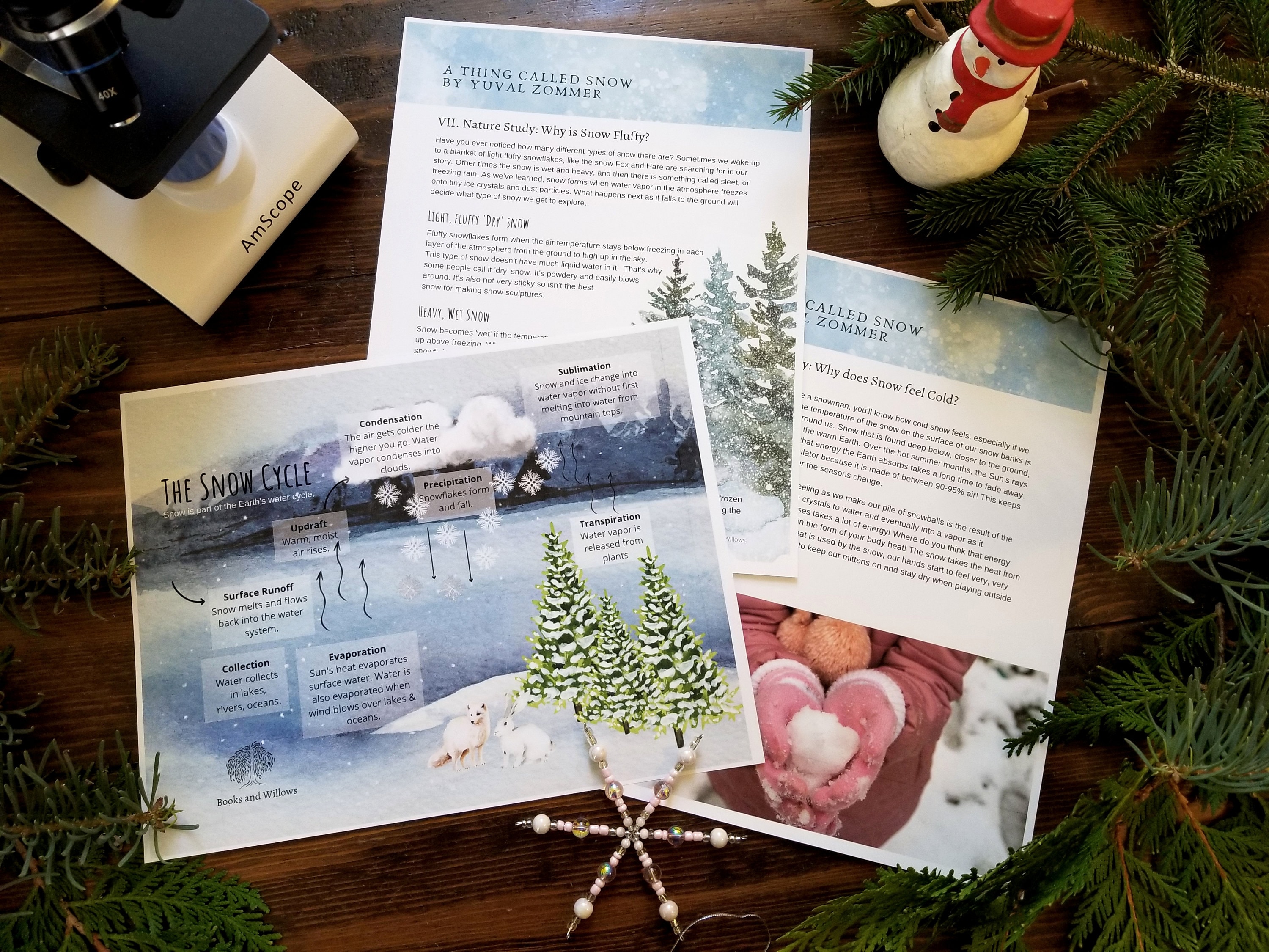 A Thing Called Snow Family Literature and Activity Guide - Etsy