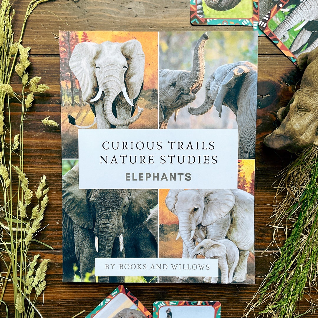 Elephant Unit Study - Curious Trails Nature Study | Homeschool ...