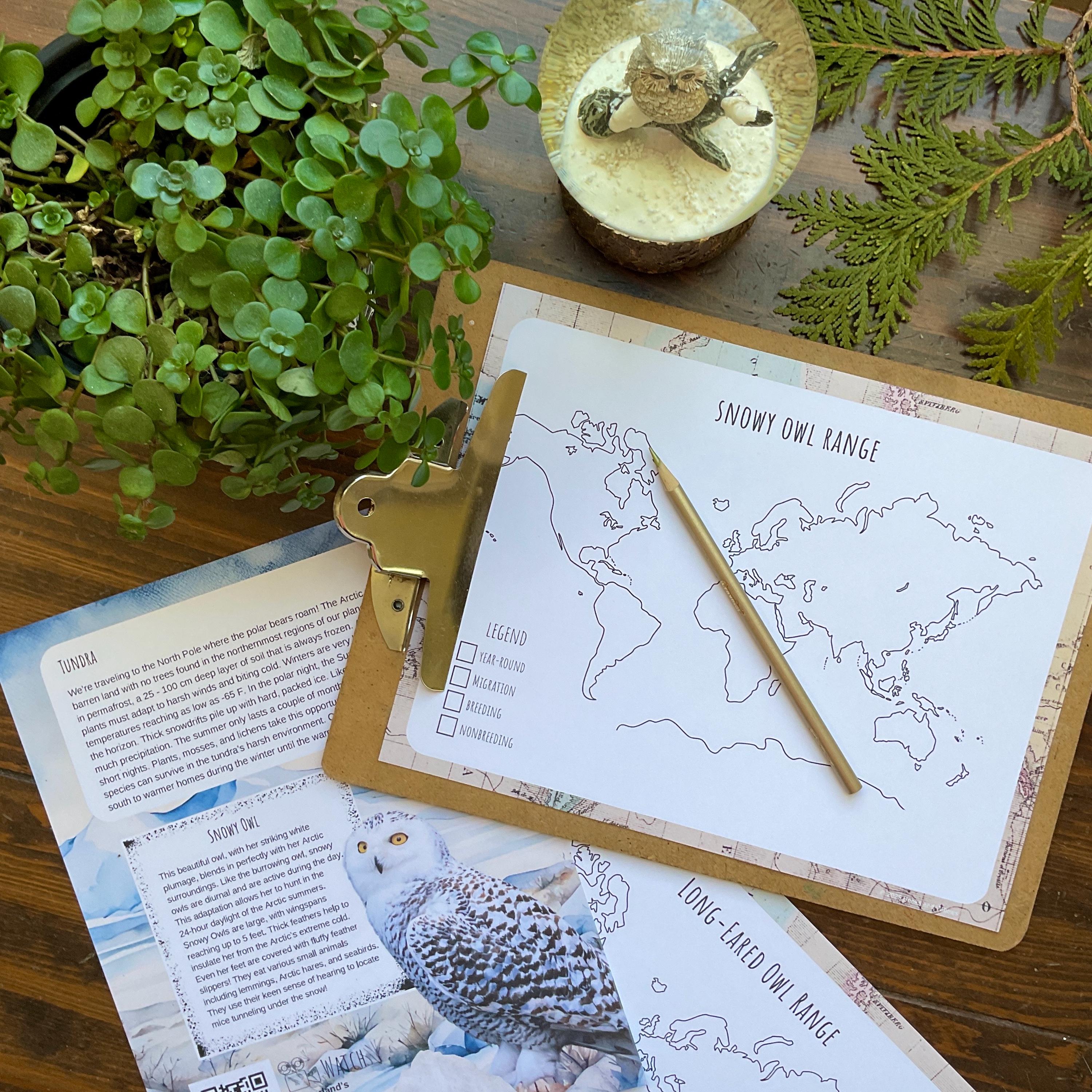 Owl Unit Study: Curious Trails Nature Curriculum (PDF Download) - Etsy