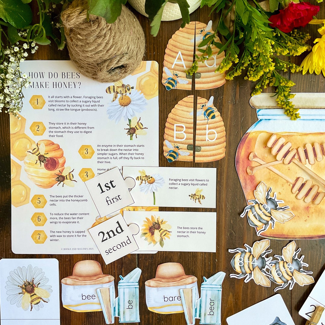 Honey Bee Early Learning Unit: Preschool & Kindergarten Activities (PDF ...