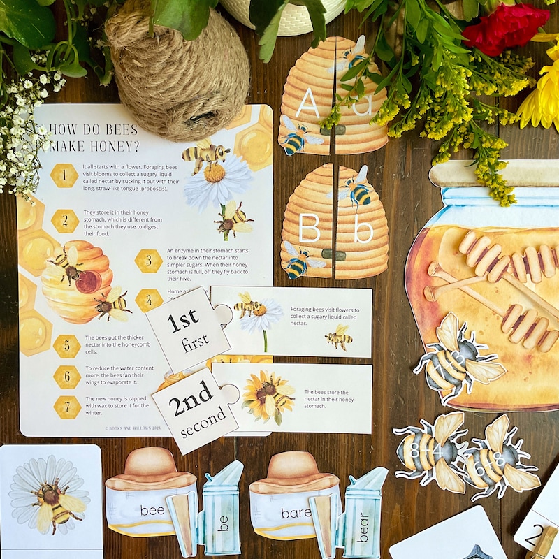 Pollinator Education - Etsy