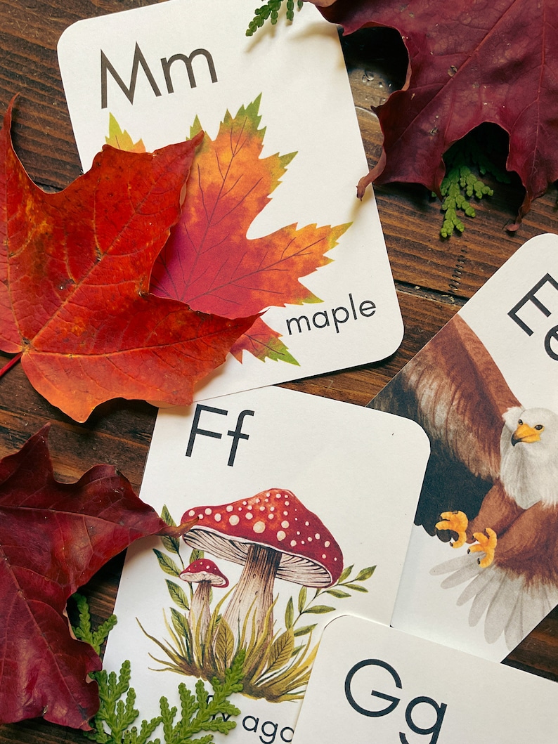 Forest Alphabet Cards Montessori Homeschool Preschool - Etsy
