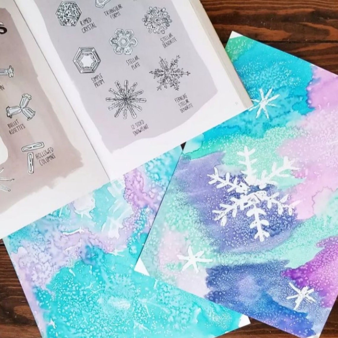 A Thing Called Snow Family Literature and Activity Guide - Etsy