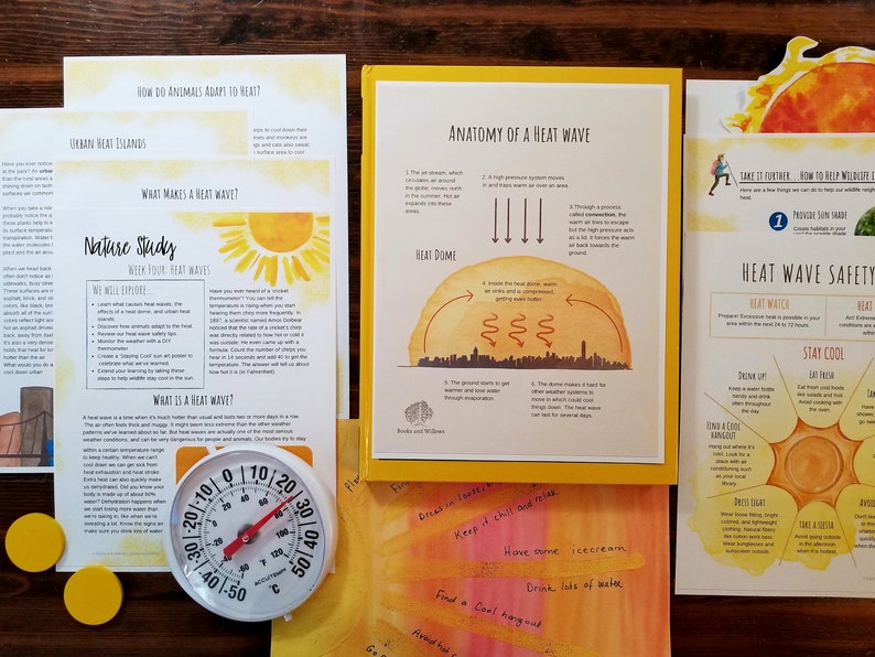 Extreme Weather Unit Study Curious Trails Nature Study - Etsy