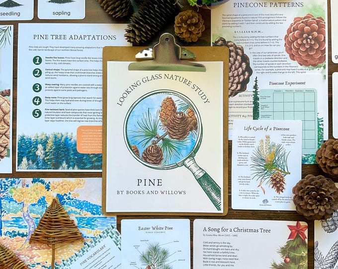 Poinsettia Unit Study, Poinsettia Anatomy and Life Cycle, Poinsettia ...