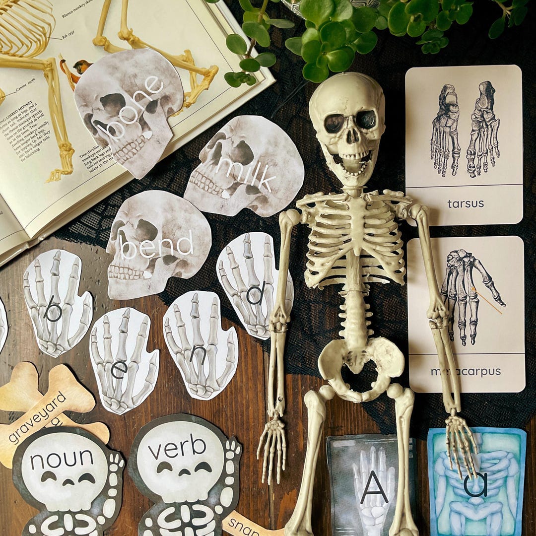 Skeleton Early Learning Unit: Preschool & Kindergarten Activities (PDF ...