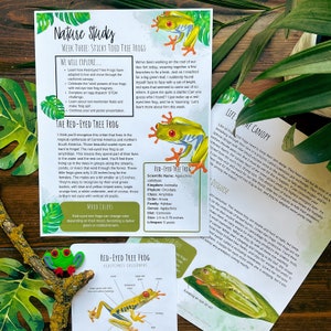 Rainforest Animals Unit Study - Curious Trails | Nature Study ...