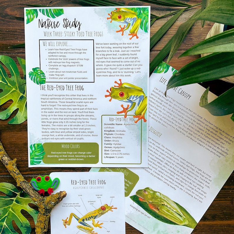 Rainforest Animals Unit Study - Curious Trails | Nature Study ...
