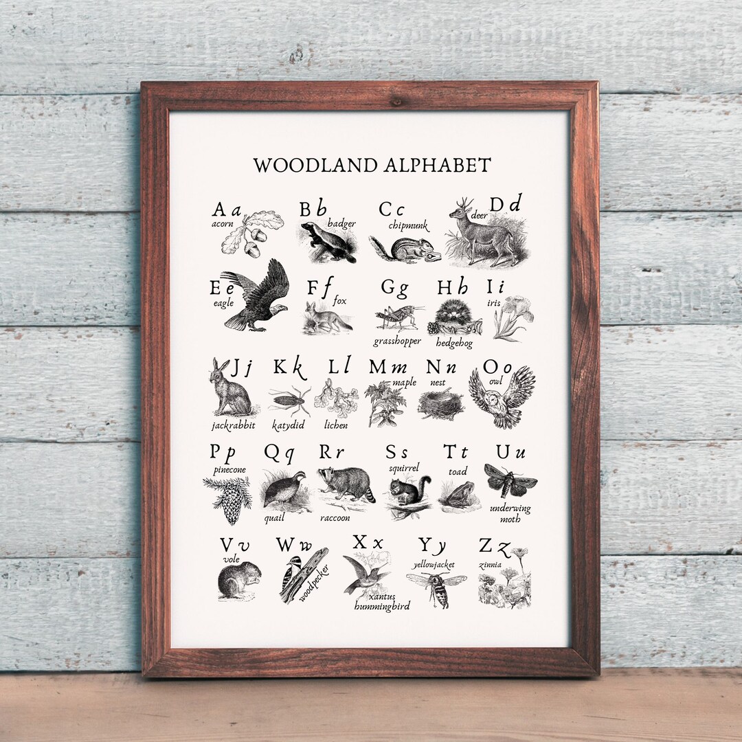 Woodland Alphabet Print | ABC Poster | Woodland Nursery | Homeschool ...
