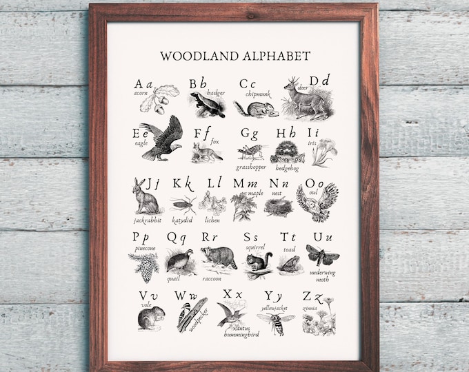 Woodland Alphabet Poster Woodland Nursery Decor Educational Posters ...