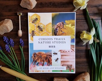 Honey Bee Unit - Etsy