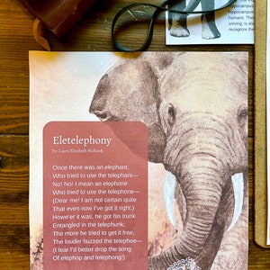 Elephant Unit Study - Curious Trails Nature Study | Homeschool ...