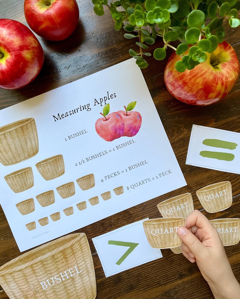 Apple Nature Study: Autumn Homeschool Curriculum (PDF Download) - Etsy