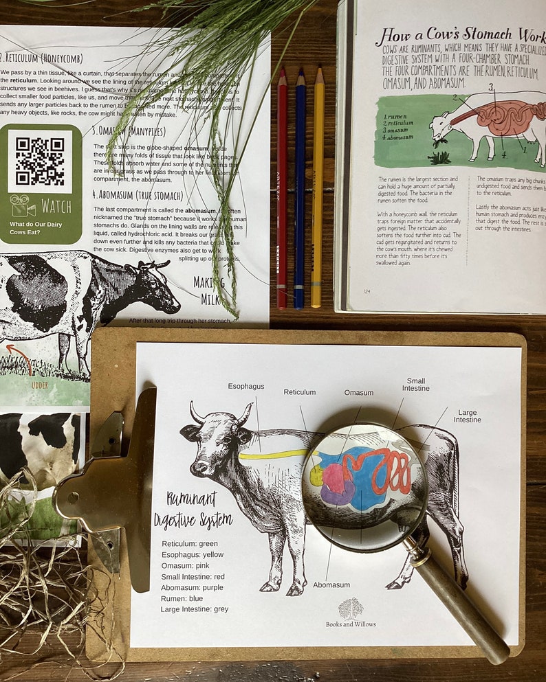 Dairy Farm Unit Study Curious Trails Nature Study Farm - Etsy