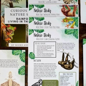 Rainforest Animals Unit Study Curious Trails Nature Study Tropical ...