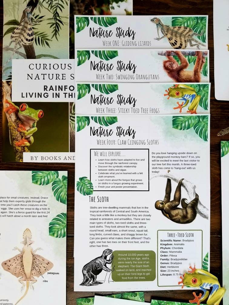Rainforest Animals Unit Study Curious Trails Nature Study - Etsy