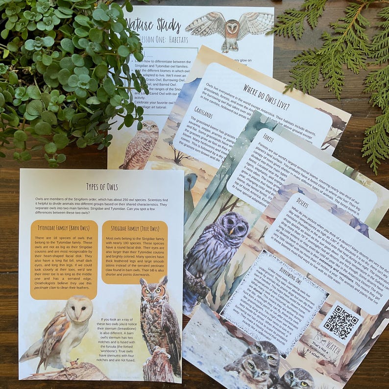 Owl Unit Study: Curious Trails Nature Curriculum (PDF Download) - Etsy