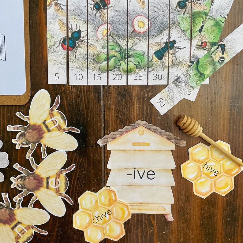 Honey Bee Early Learning Unit: Preschool & Kindergarten Activities (PDF ...