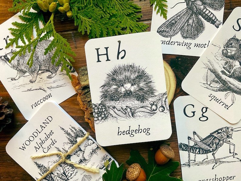 Woodland Alphabet Flashcards: Montessori Preschool (PDF Download) - Etsy