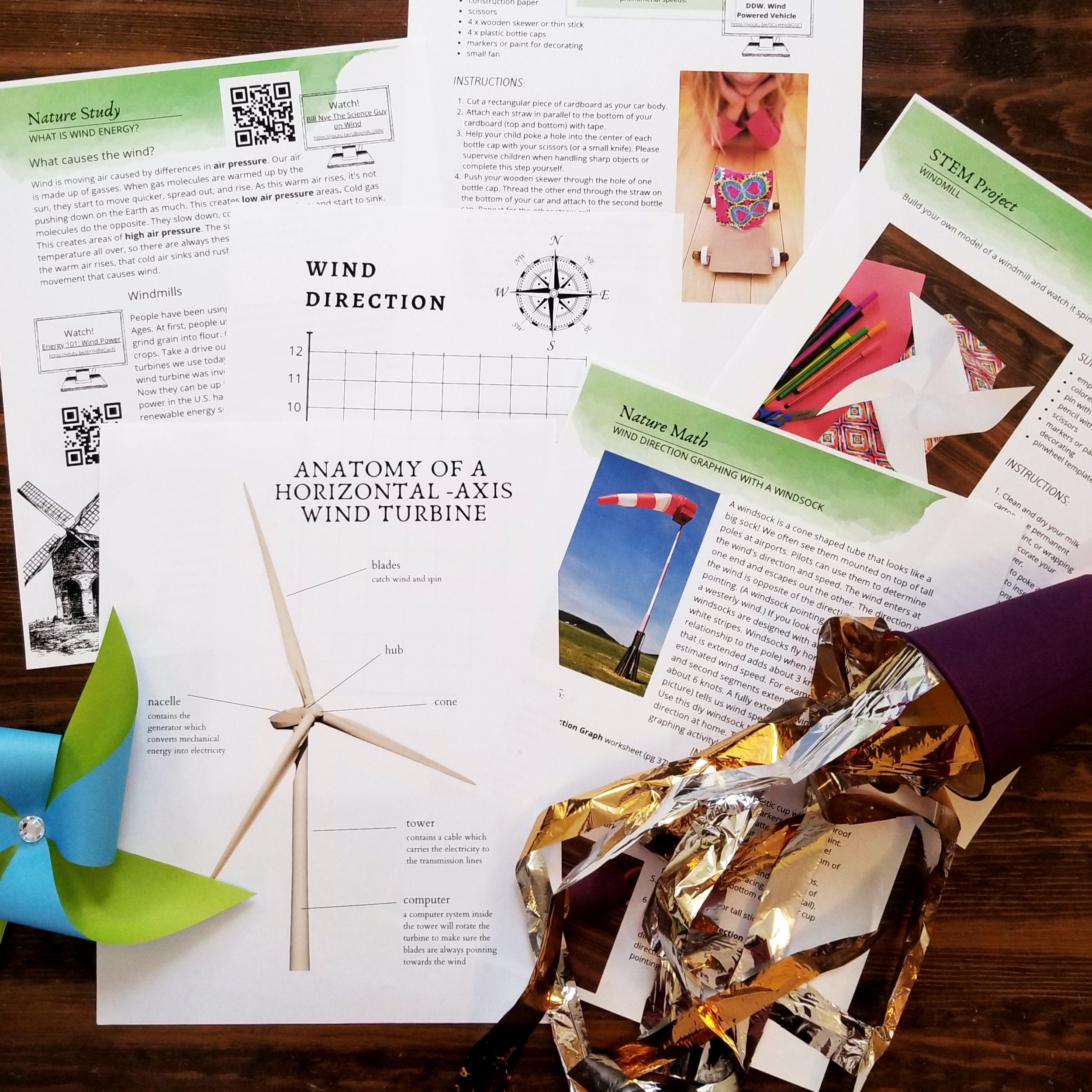 Renewable Energy Unit Study Homeschool Printable Curriculum - Etsy