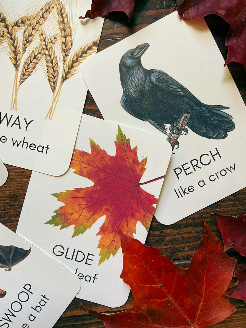 Fall Movement Cards Montessori Flashcards Preschool - Etsy