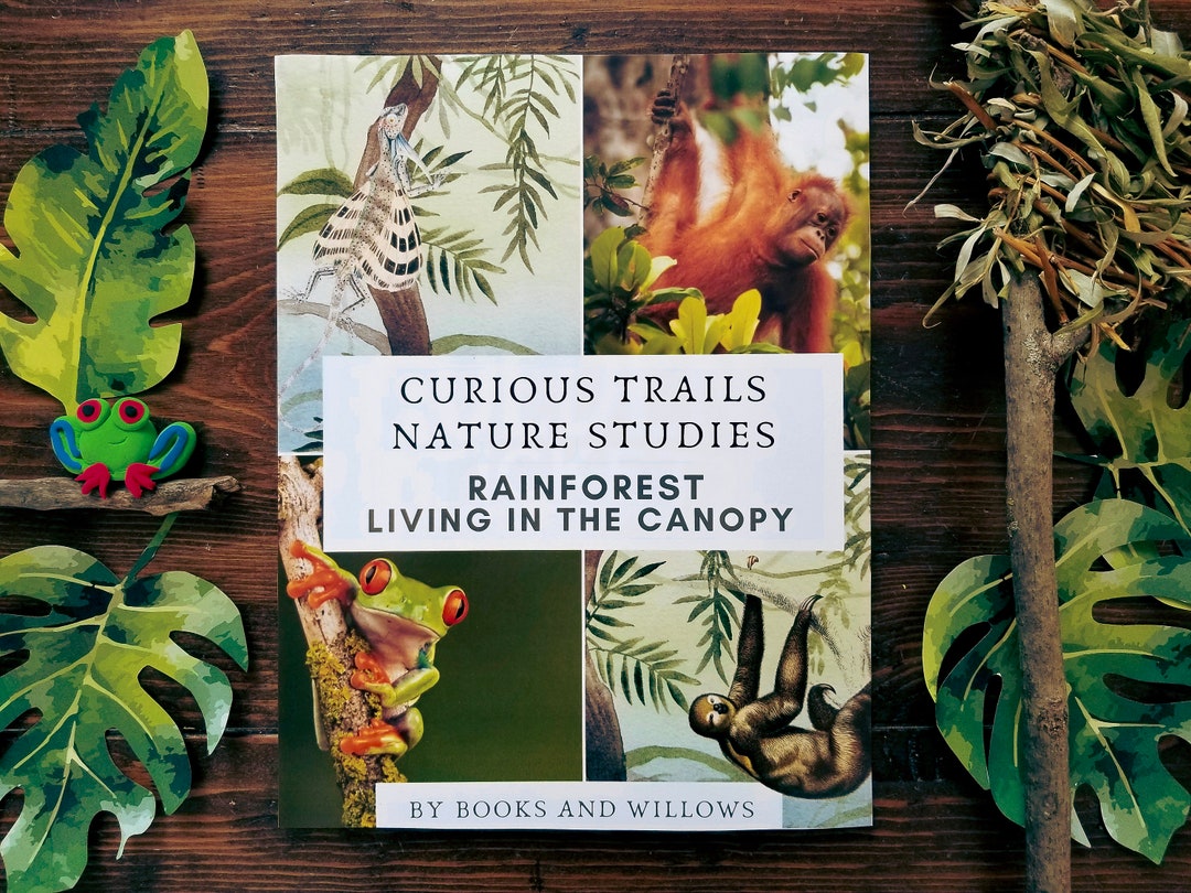 Rainforest Animals Unit Study Curious Trails Nature Study Tropical ...
