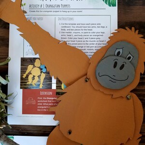 Rainforest Animals Unit Study Curious Trails Nature Study Tropical ...