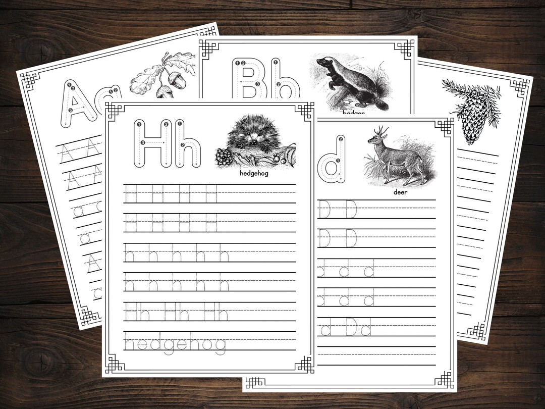 Woodland Nature Traceable Alphabet Print and Cursive - Etsy