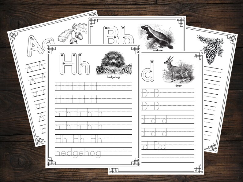 Woodland Nature Traceable Alphabet Print and Cursive - Etsy