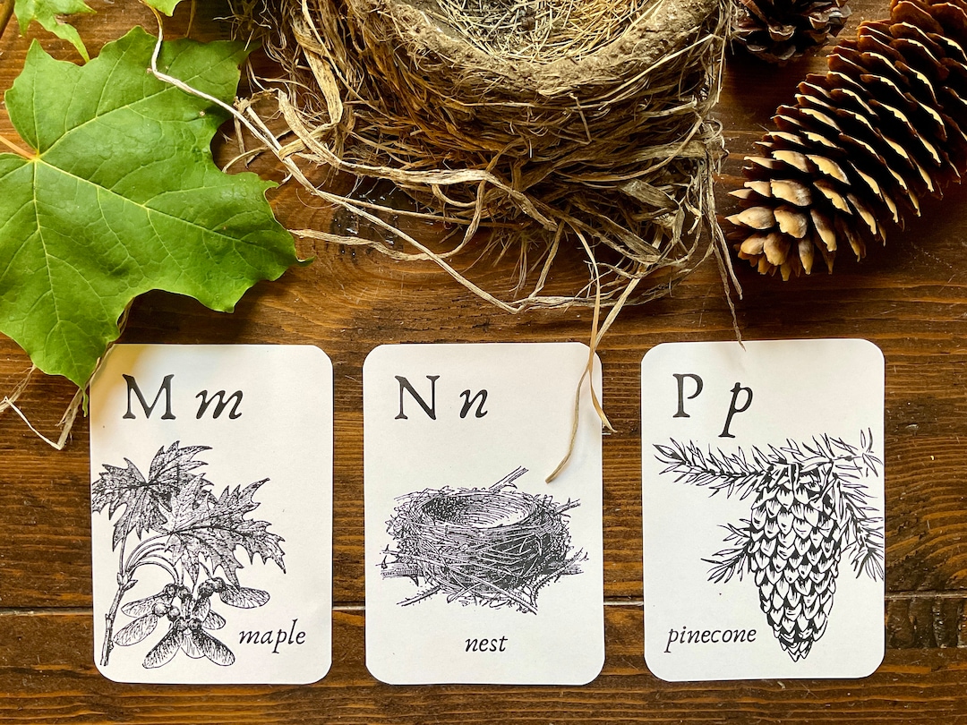 Woodland Alphabet Flashcards: Montessori Preschool (PDF Download) - Etsy