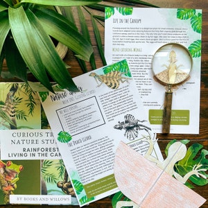 Rainforest Animals Unit Study - Curious Trails | Nature Study ...