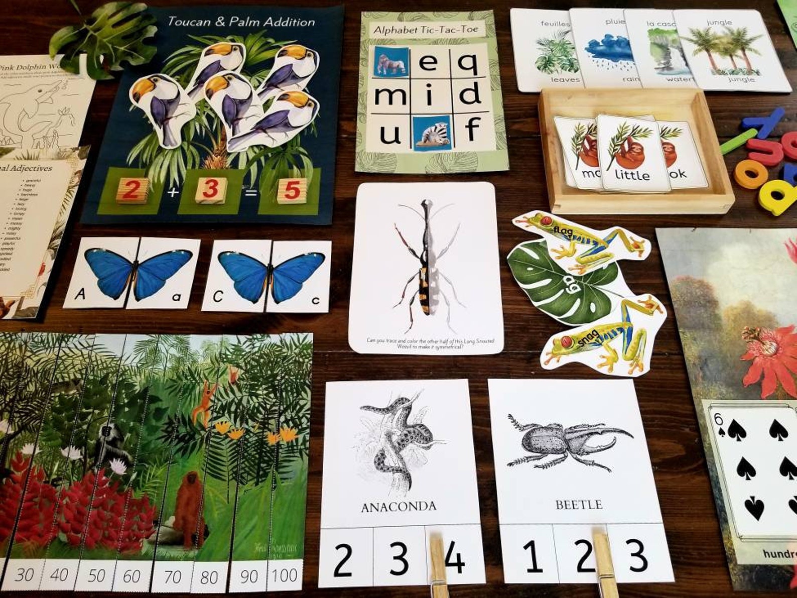 Rainforest Early Years Activity Pack Phonics & Math - Etsy Canada