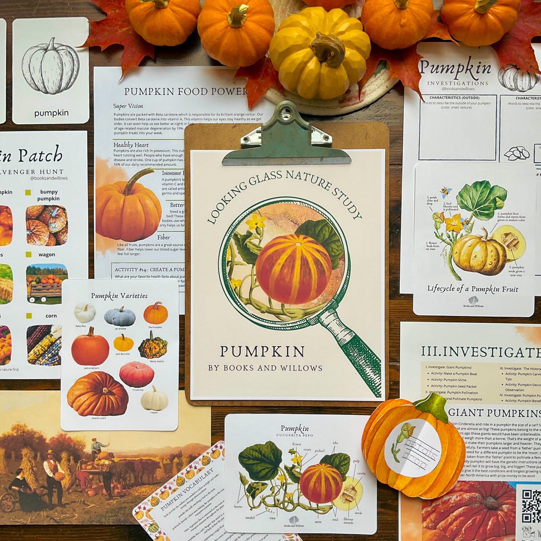 Pumpkin Nature Study: Autumn Homeschool Curriculum (PDF Download) - Etsy