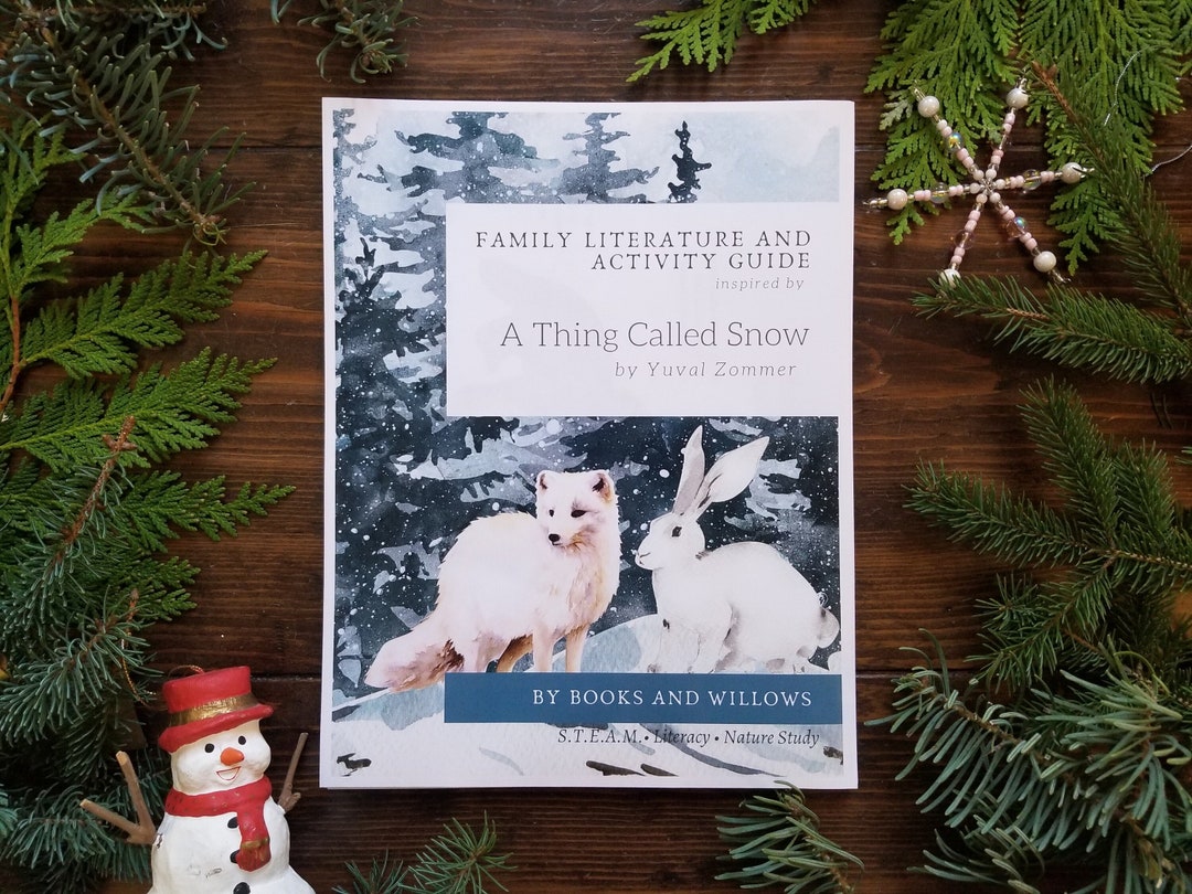 A Thing Called Snow - Family Literature and Activity Guide | Snow ...