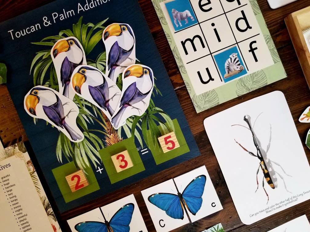 Rainforest Early Years Activity Pack Phonics & Math - Etsy Canada