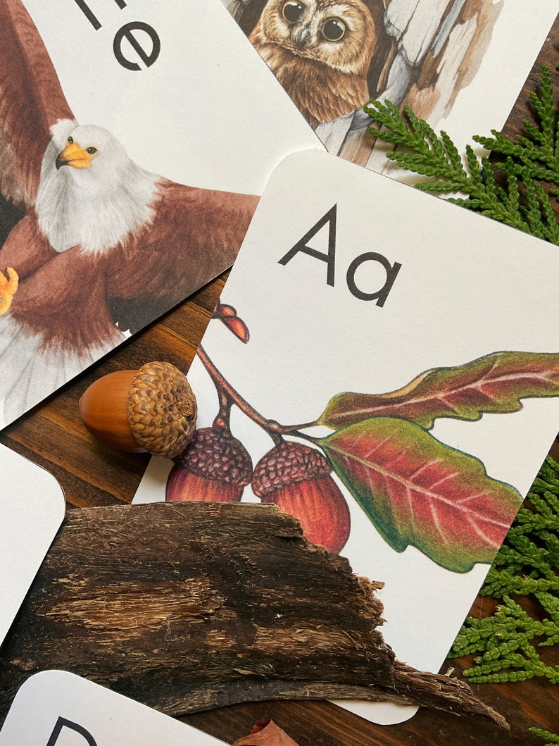 Forest Alphabet Cards: Montessori Preschool (PDF Download) - Etsy