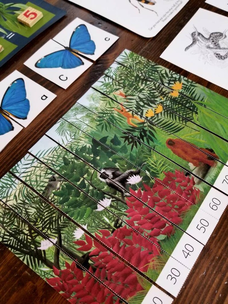 Rainforest Early Years Activity Pack Phonics & Math - Etsy Canada