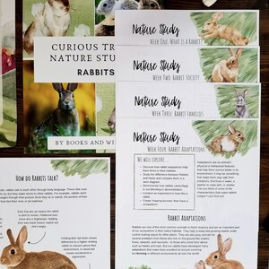 Rabbit Unit Study Curious Trails Nature Study Homeschool - Etsy