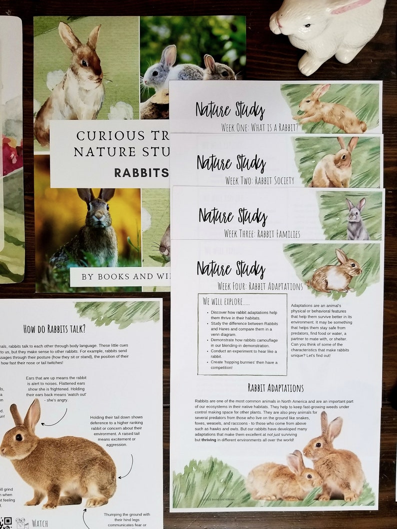 Rabbit Unit Study Curious Trails Nature Study Homeschool - Etsy