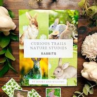 Rabbit Unit Study Homeschool Printables Easter Bunny Spring Learning ...