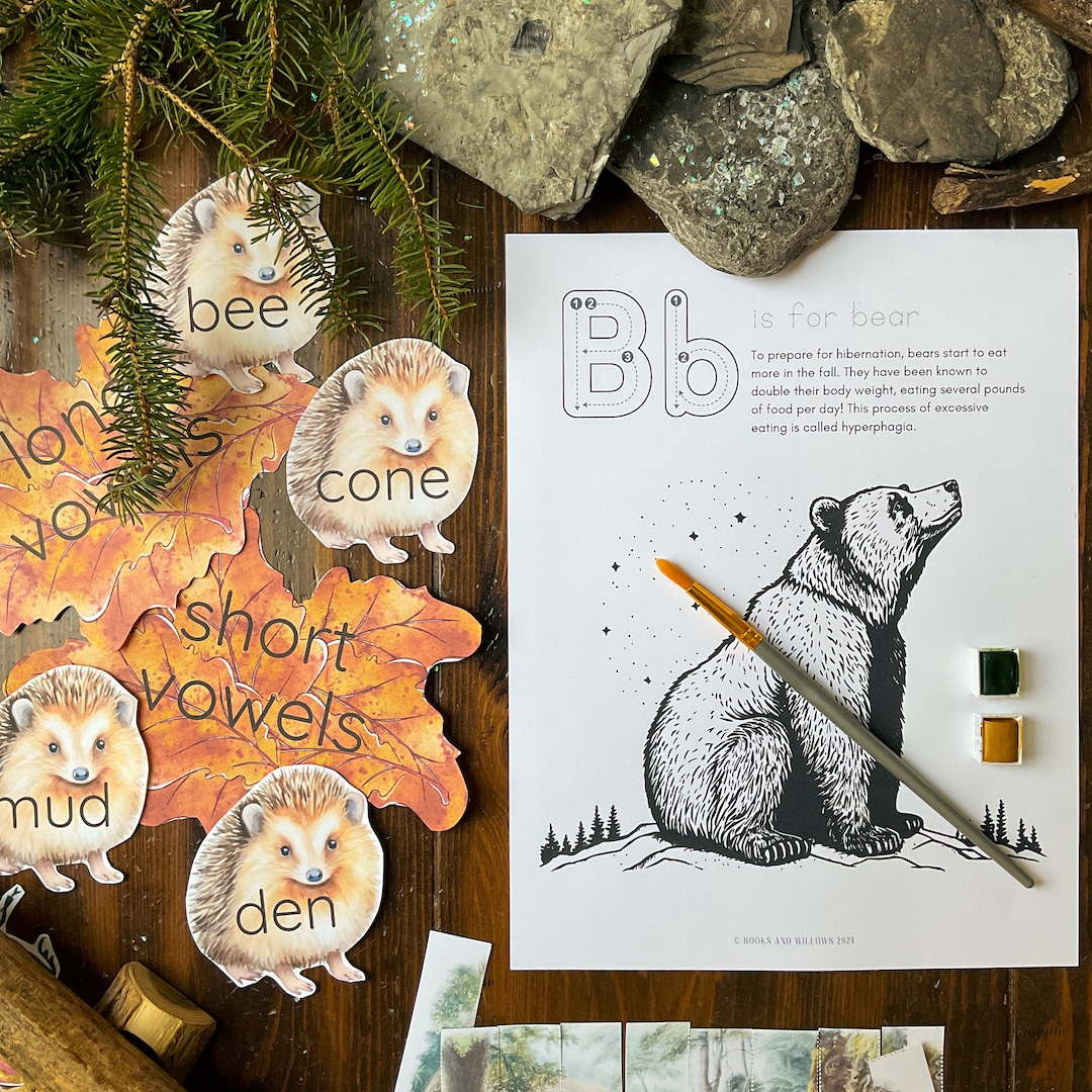 Hibernation Early Learning Unit: Winter Preschool & Kindergarten ...