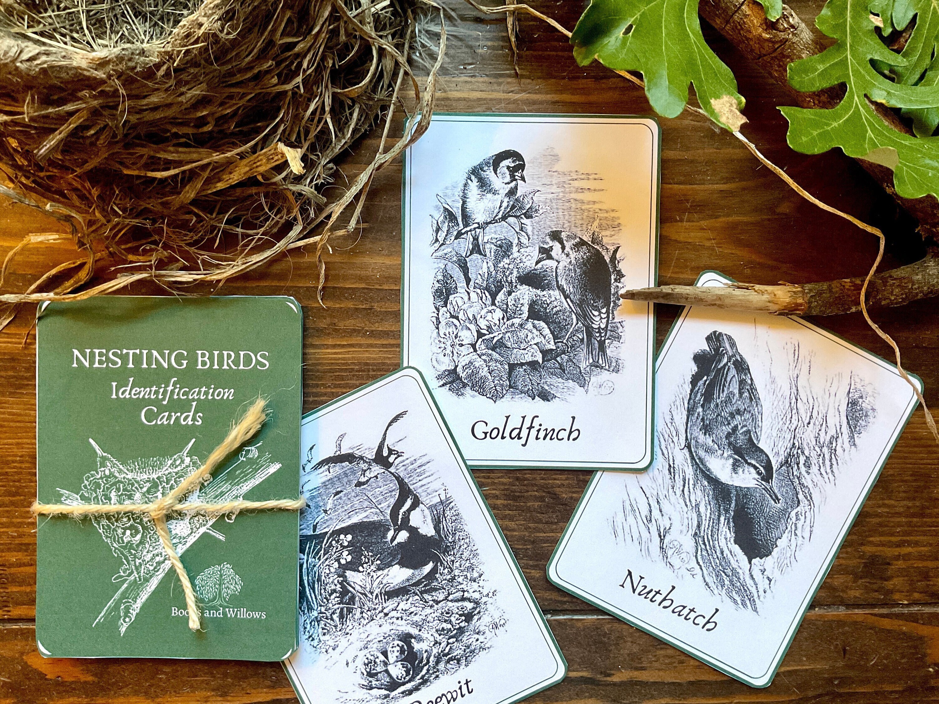 Nesting Birds Identification Flashcards Nature Study - Etsy