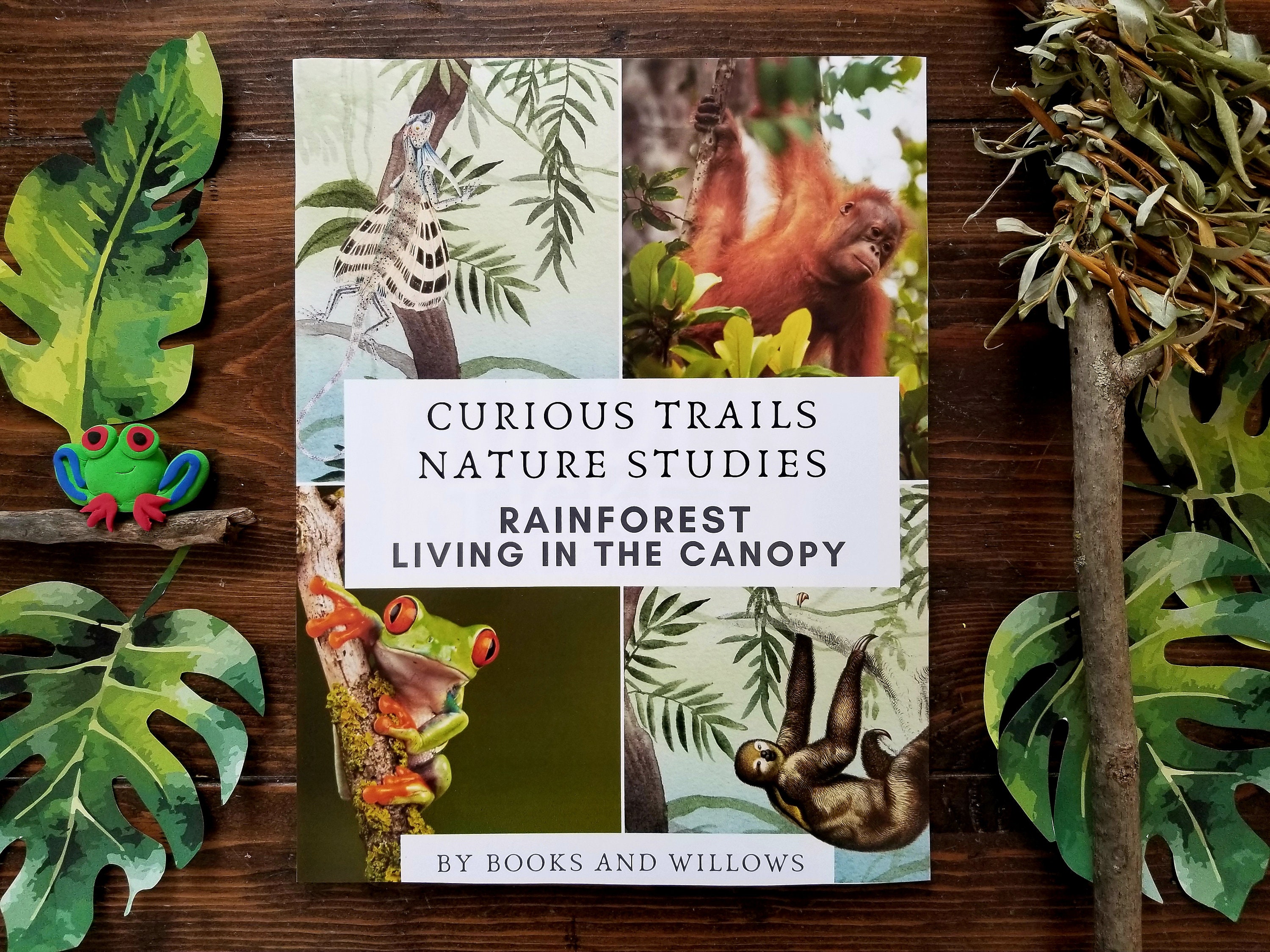 Rainforest Animals Unit Study Curious Trails Nature Study - Etsy