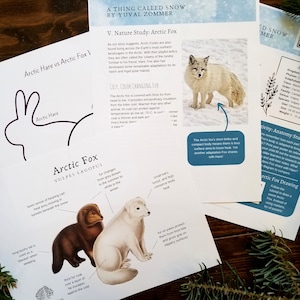 A Thing Called Snow - Family Literature and Activity Guide | Snow ...