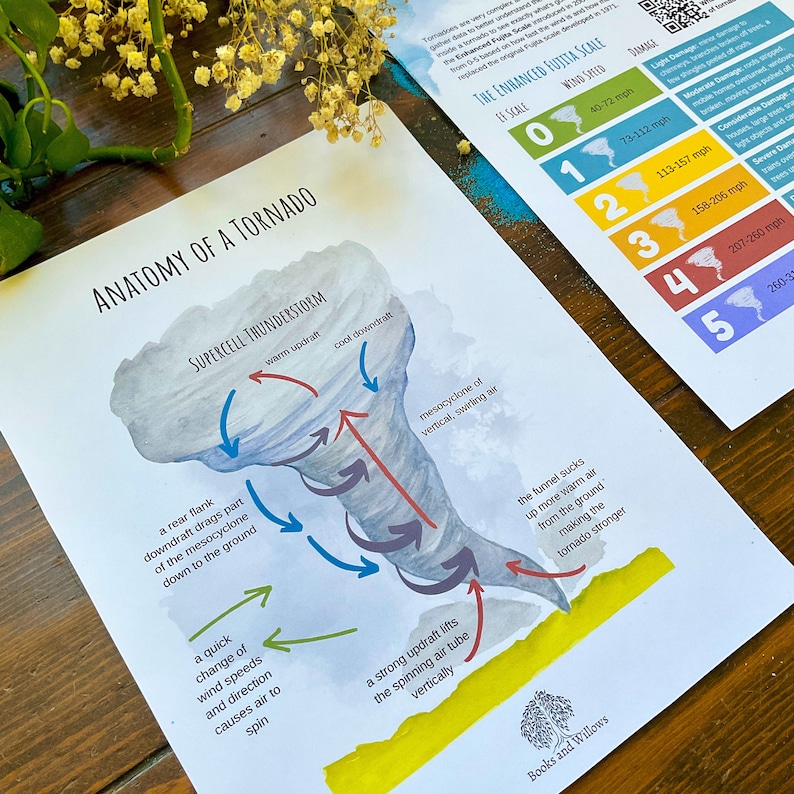 Extreme Weather Unit Study: Curious Trails Homeschool Curriculum (PDF ...
