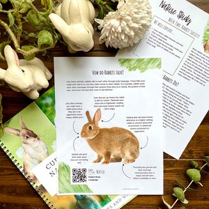 Rabbit Unit Study - Curious Trails Nature Study | Homeschool Curriculum ...